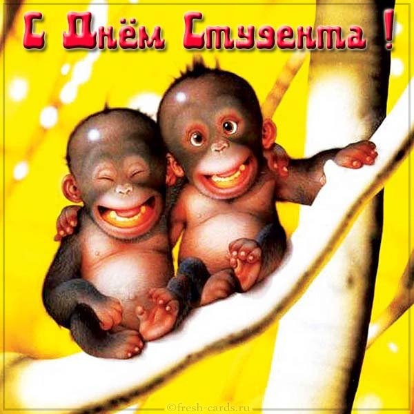 С днём Студента! Легких Зачетов! Музыкальная Открытка!