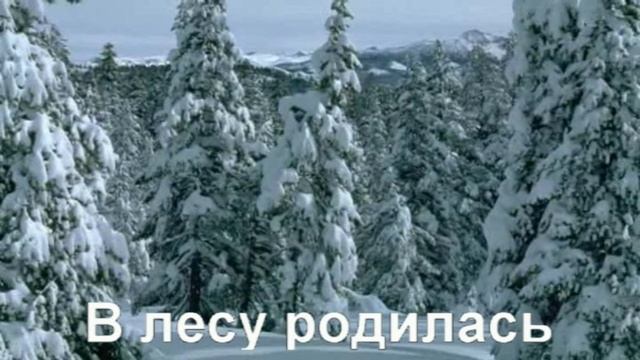 В лесу родилась ёлочка-
