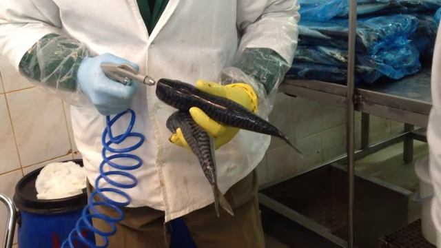 Инъектор ручной одноигольчатый пневматический для посола рыбы, мяса, птицы