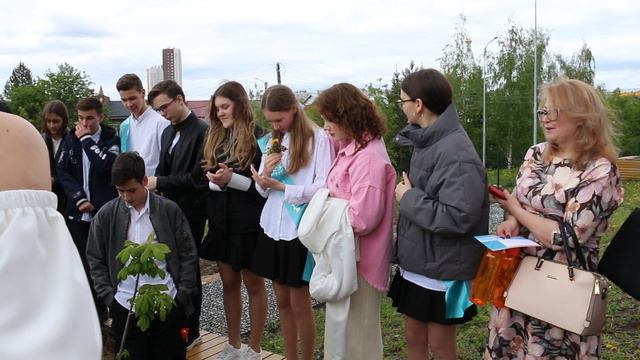 12 Каштан посажен