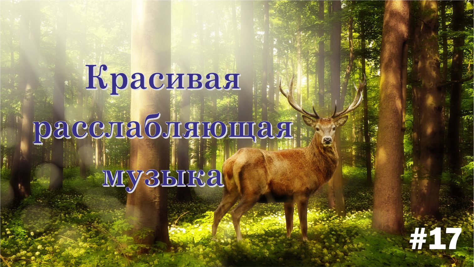 Красивая расслабляющая музыка