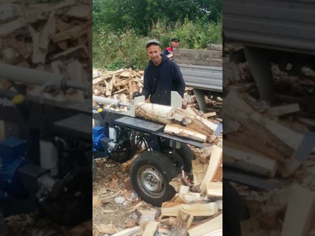 Дровокол Горыныч (видео от клиента)