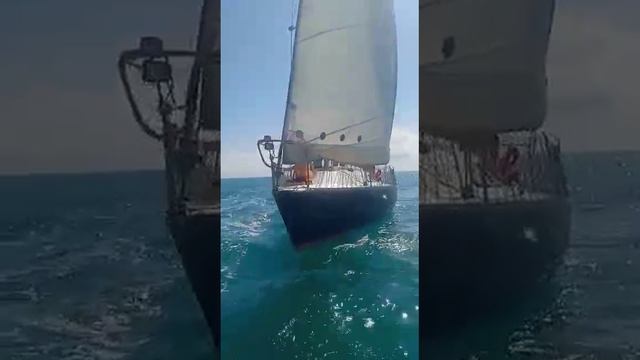 Аренда Яхт. Морское путешествие. Встречи с  Дельфинами. Лазаревское