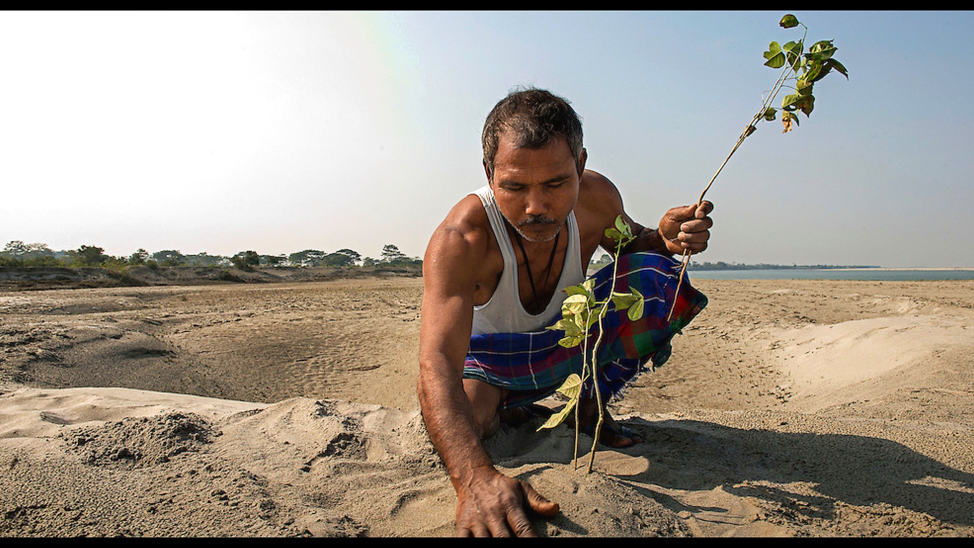 Необычный человек вырастивший лес.mp4