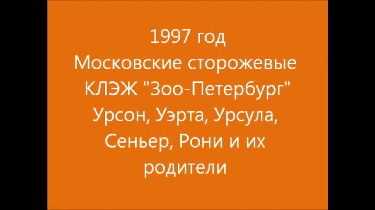 Московские сторожевые - Урсон, Урсула, Уэрта, Сеньёр, Рони. 1997 год