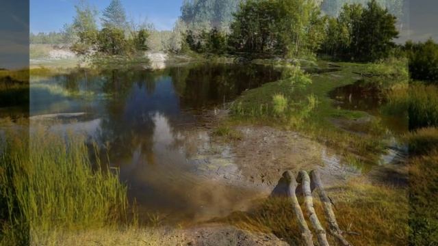 "ГЛАЗА ТВОИ СМЕШЛИВЫЕ"... (Фото Геннадия Ярославцева (Воскресенск) Ансамбль "Северянка")