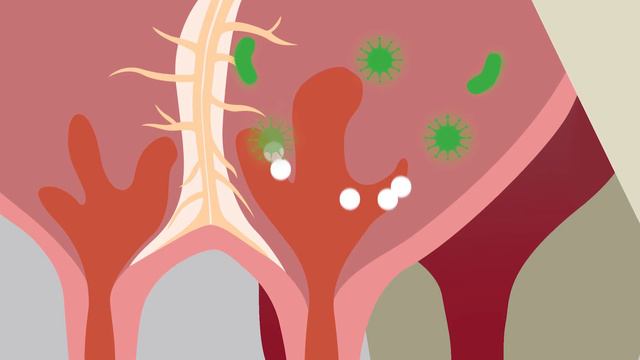 ЛАКТИКО: противомаститный шприц