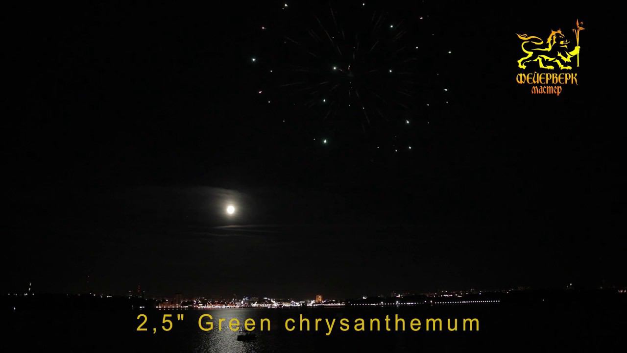 2,5" Green chrysanthemum