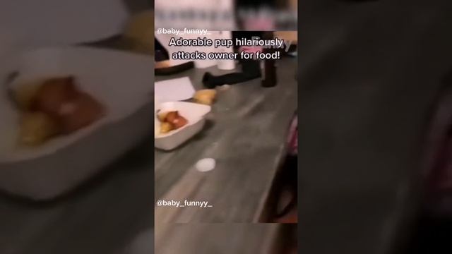 Забавные ролики 93