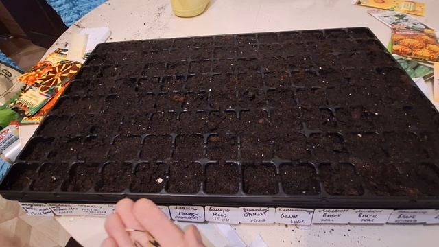 Посадила Бархатсы 19.04.24