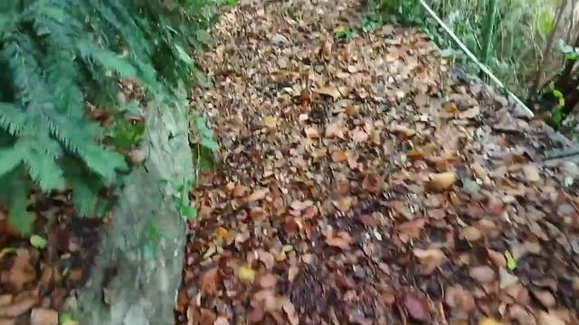 Ялта-21. 4 серия. Забытая тропа.mp4