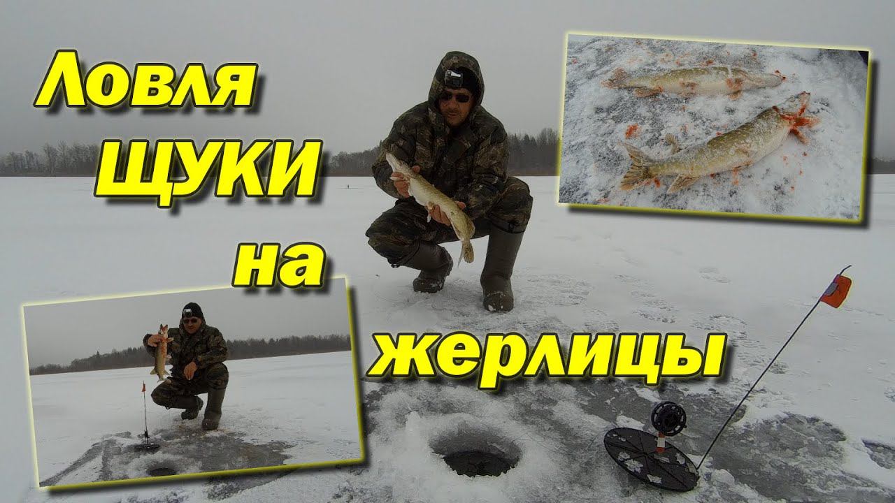 Ловля щуки в декабре на жерлицы