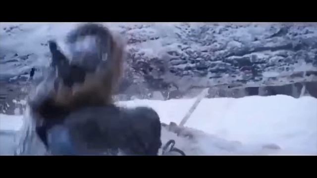 "Русская рать". Песня к фильму "Легенда о Коловрате".