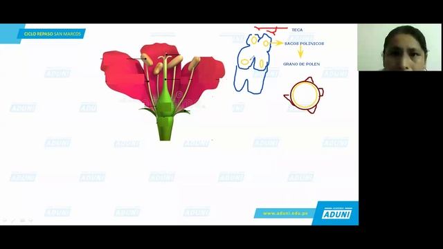 San Marcos REPASO 2021 | Semana 05 Biología Parte 02