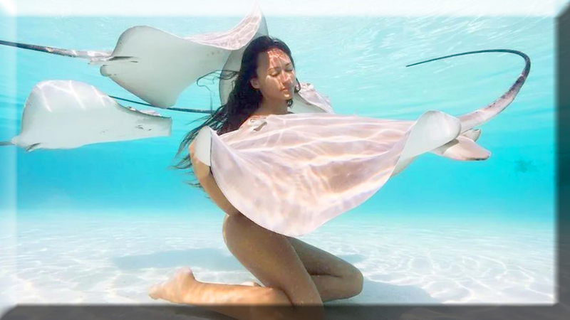 Красивый дайвинг на острове Гранд Багама