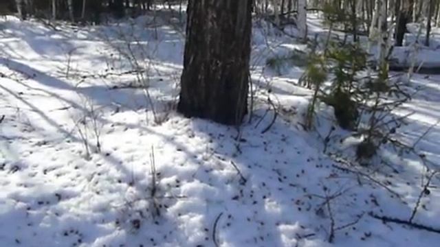 Вспомогательные способы ориентирования. Часть 2