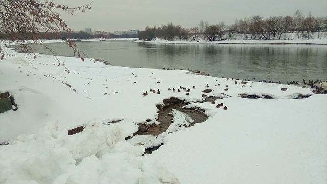 Москва Коломенское зима 2023