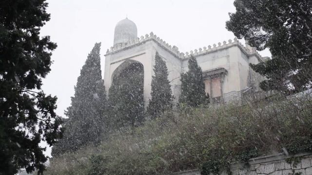 вилла Мечта снегопад shorts.mp4