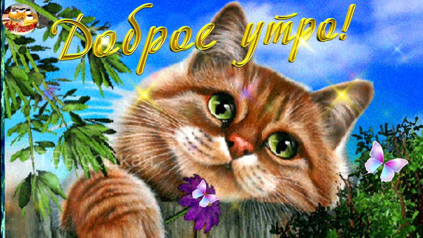 Замечательного ДОБРОГО УТРА! МИРА И ДОБРА! Красивая музыкальная открытка.