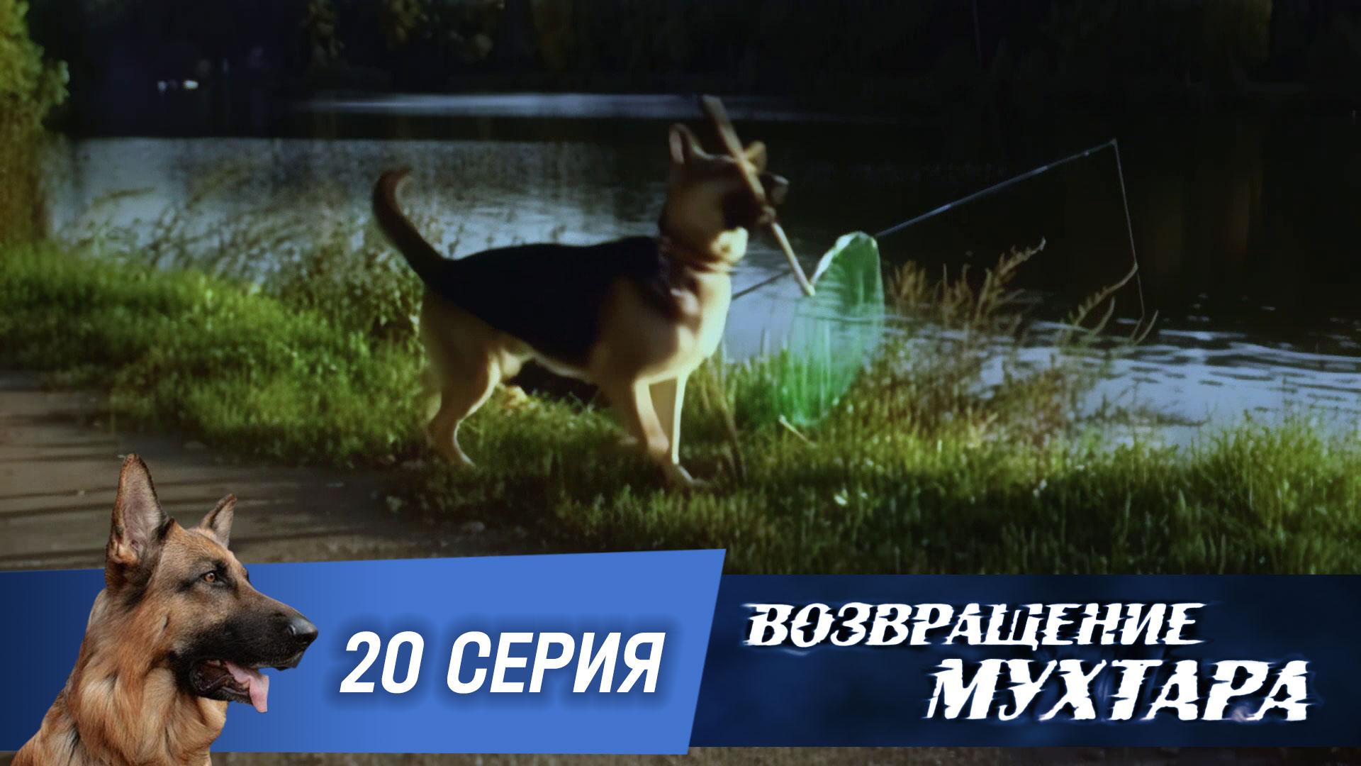 «Возвращение Мухтара»: «Круги на воде» (1 сезон. 20 серия)