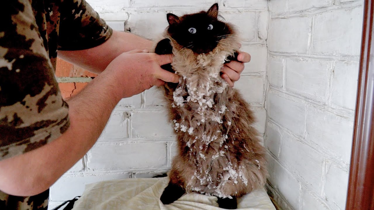 Когда не хватает клиренса. Снежные приключения Саймона