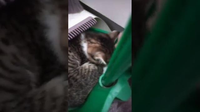 НАКА?ПОДРУГА ЛУНА