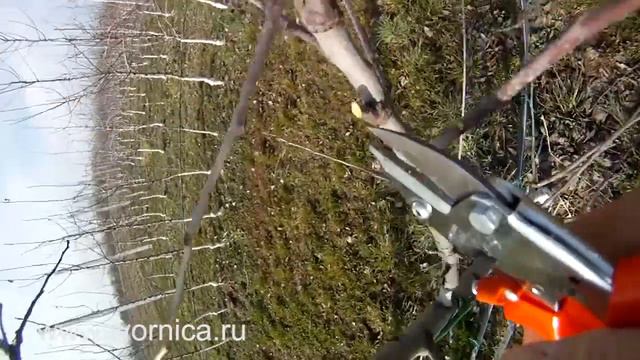 ART 5.124, 5.127 Секатор LOWE с наковаленкой