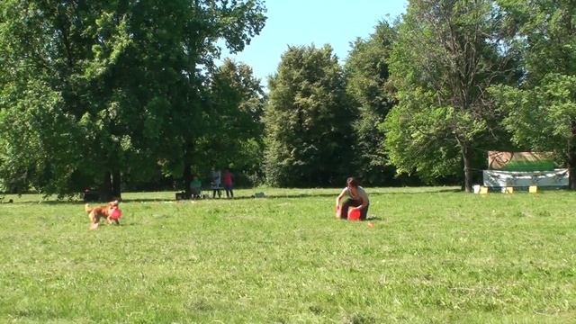 Кубок Клуба. Алия и Ирвин..mp4