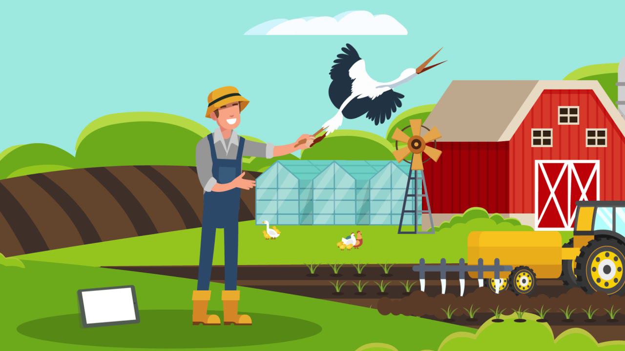 2 S4S Для фермеров 2019 02 27