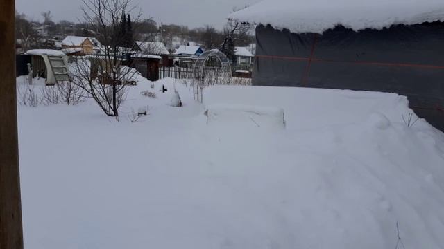 МЫ на ДАЧЕ. СВЕЖИЙ ВОЗДУХ! ХОРОШО!