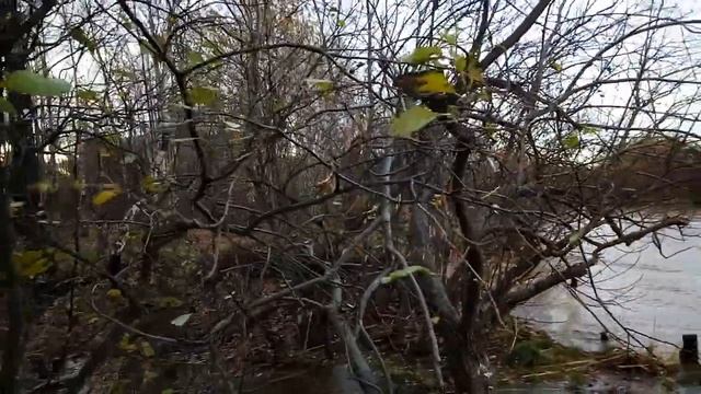 Погода шепчет..mp4