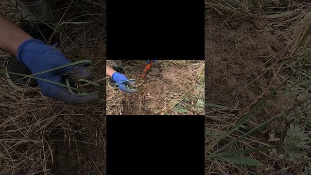 По следам банды Фомина
#коп #поиски клада #старинный ключ  #банда фомина #приключения