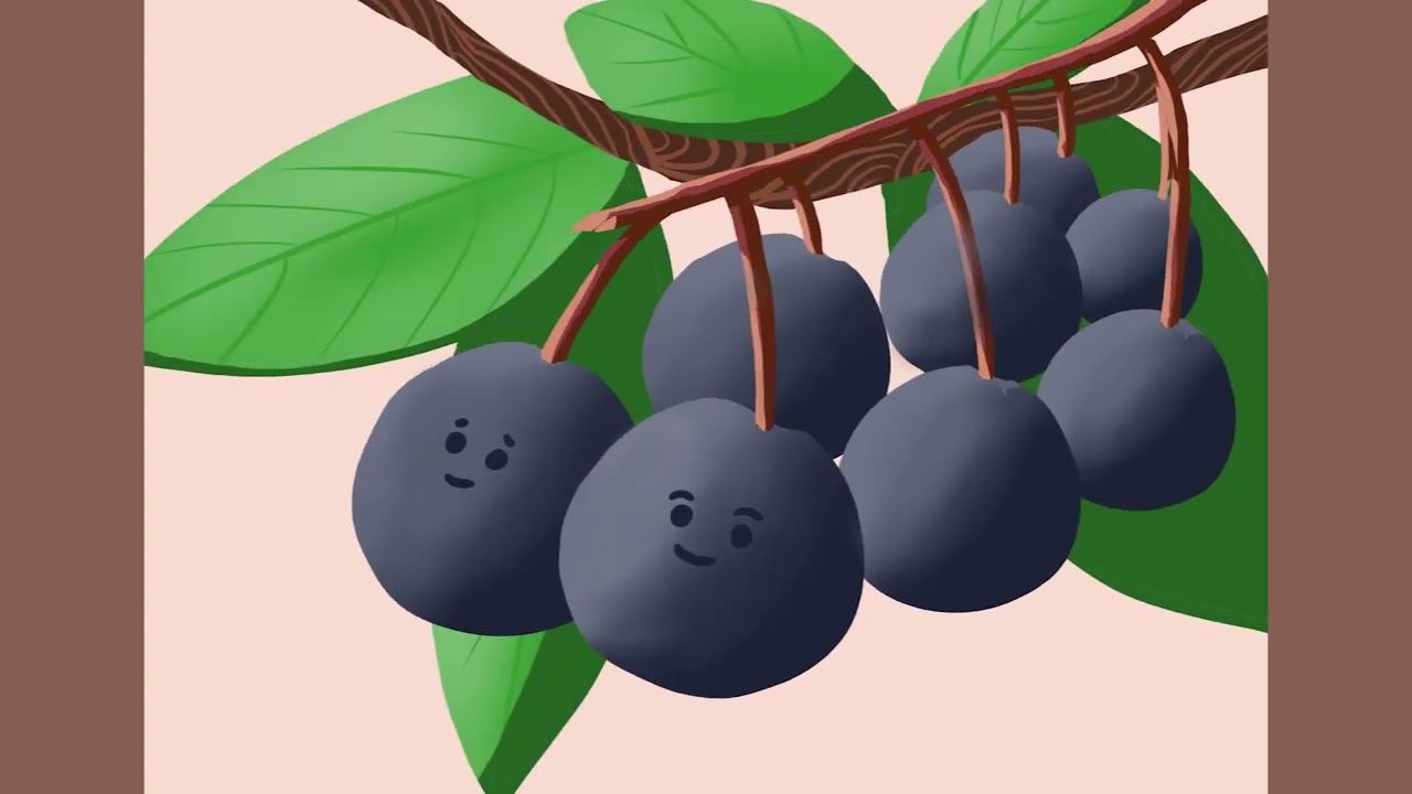 17 Мойһон хори