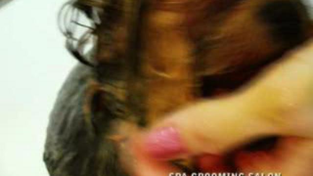 Процедуры-финал