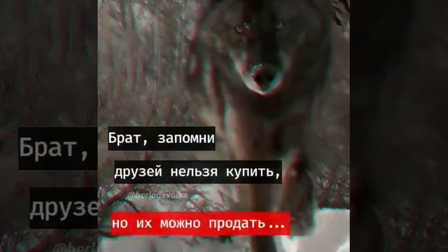 Купить друзей
