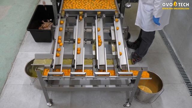 Машина для разбивания яиц RX-6 Ovo Tech