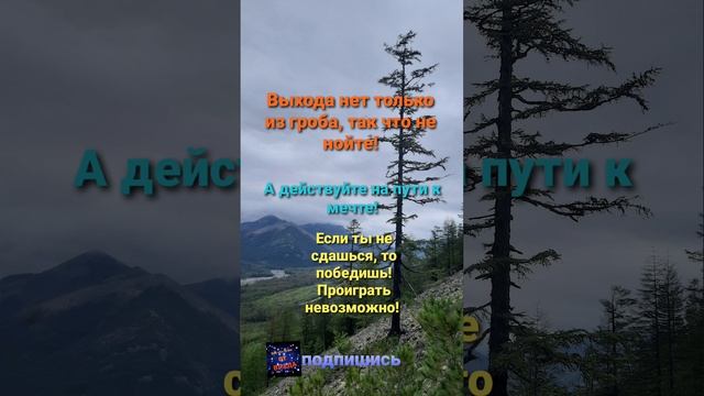 Действуйте!💫