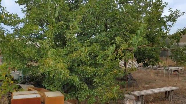 ПХБ Евпатория пр.Победы76 База +7978-90-90-900.mp4