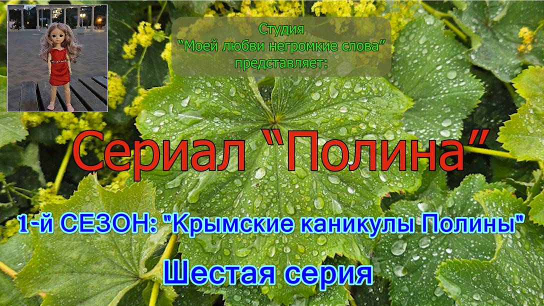 6-я серия - Полина от заката до рассвета