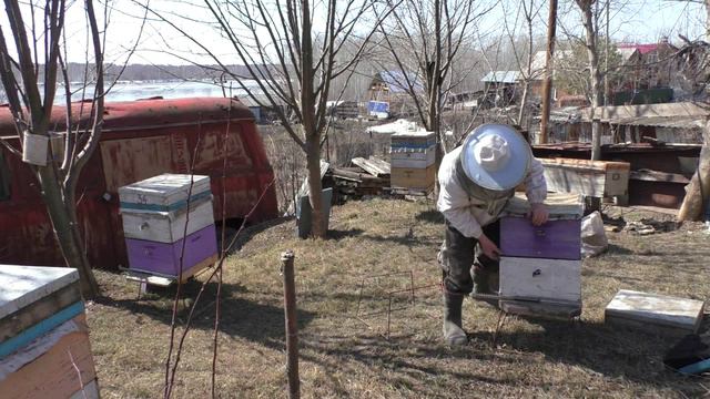 Пчёлки 81. Замена днищ двухкорпусных ульев.