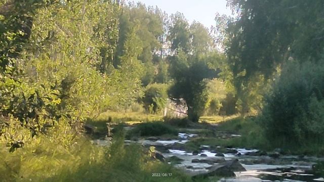 Речка в горах.mp4