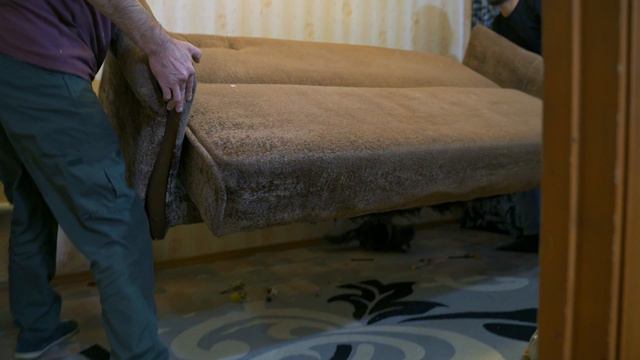 Ёлки show  Выпуск №8