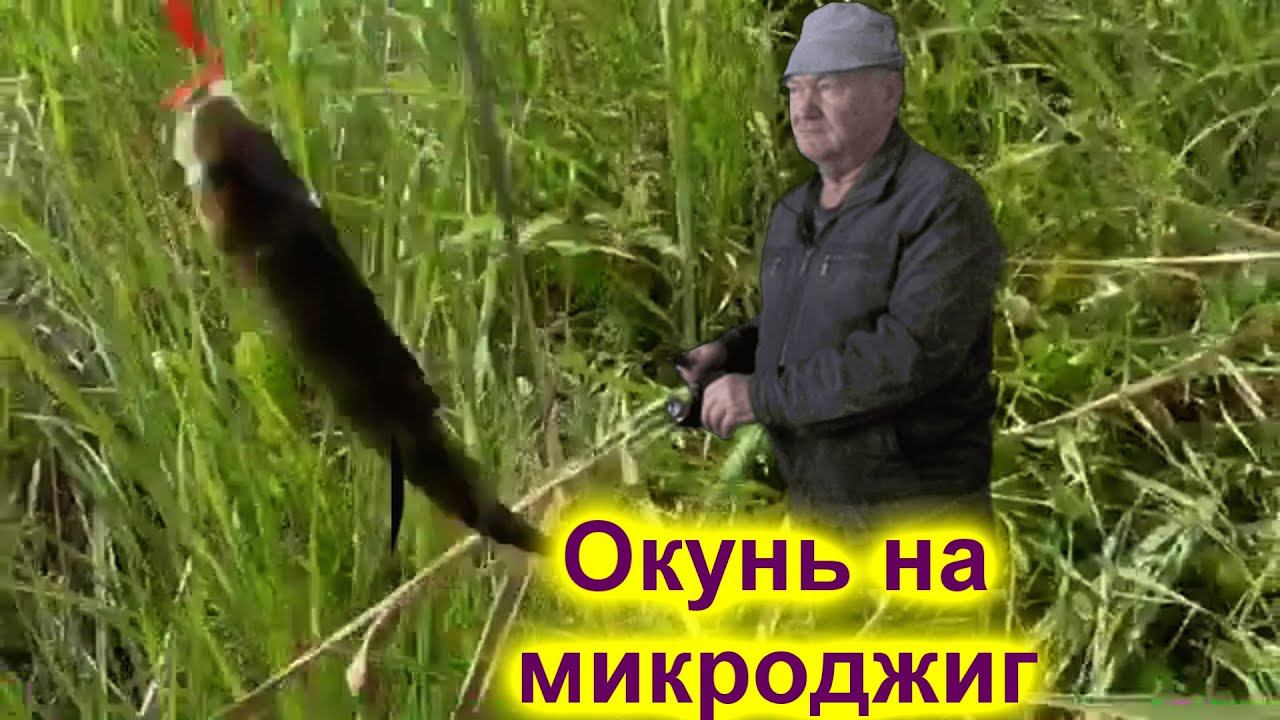Окунь на микроджиг