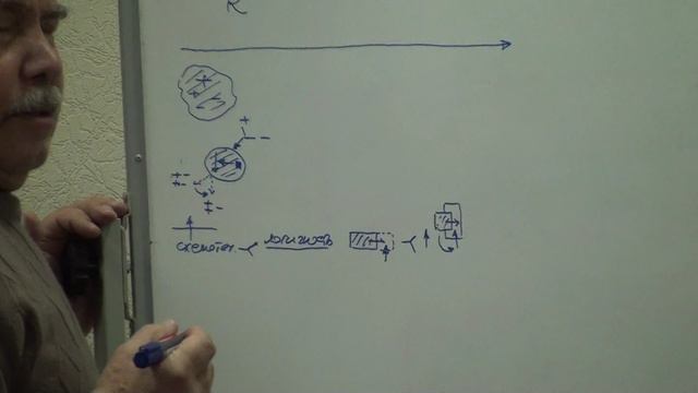 Доклад Анисимова О.С. по мировоззрению. 27.09.18