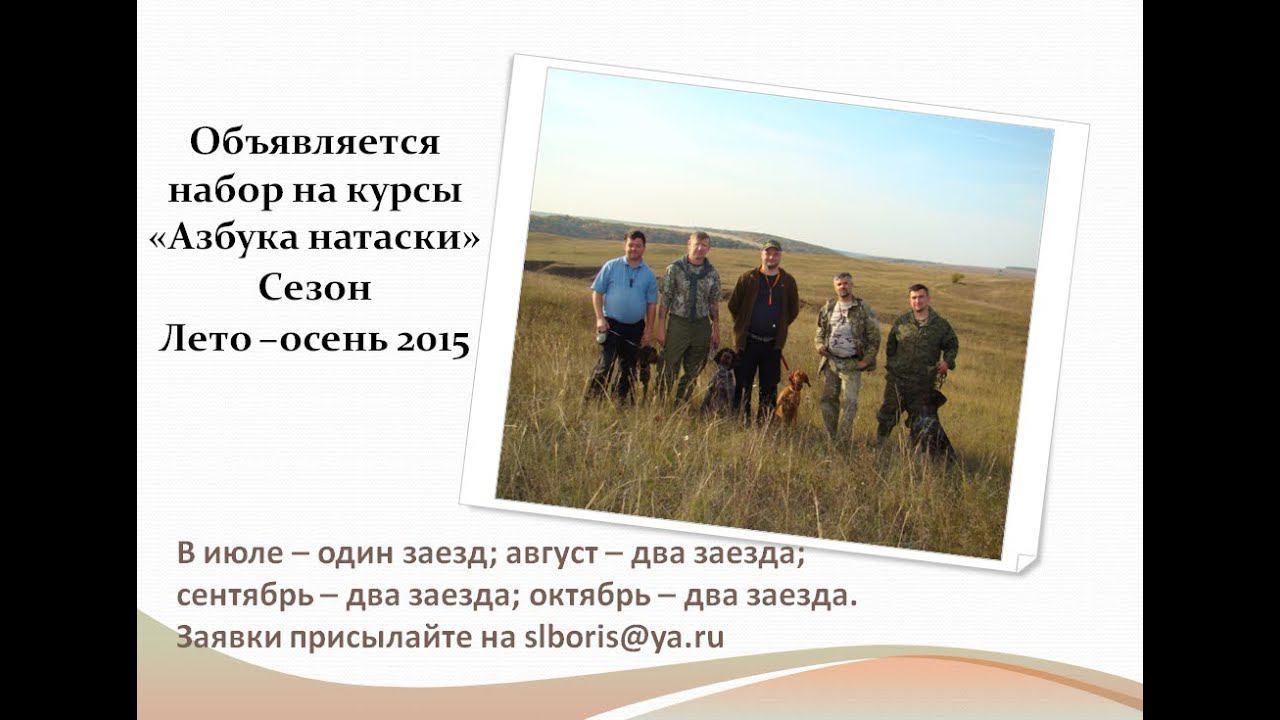 "Компас натаски" - ваш ориентир в работе с легавой!