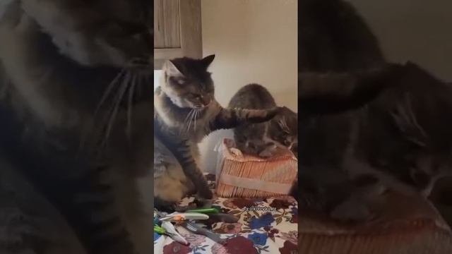 главное во время успокоить