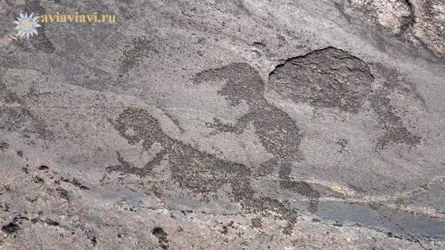 13 Онежские петроглифы.mp4