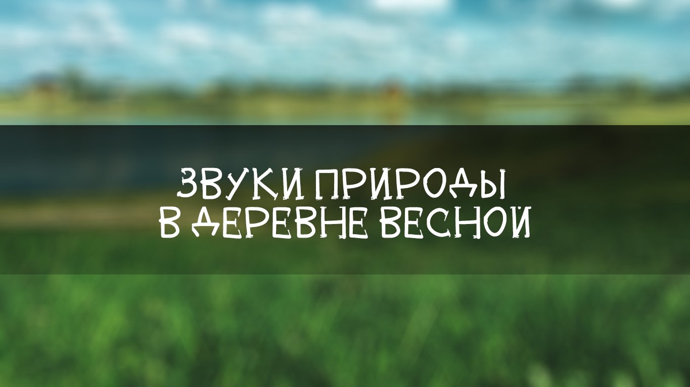 Звуки природы в деревне у реки весной. Пение птиц, звуки окружающей среды.(АСМР)