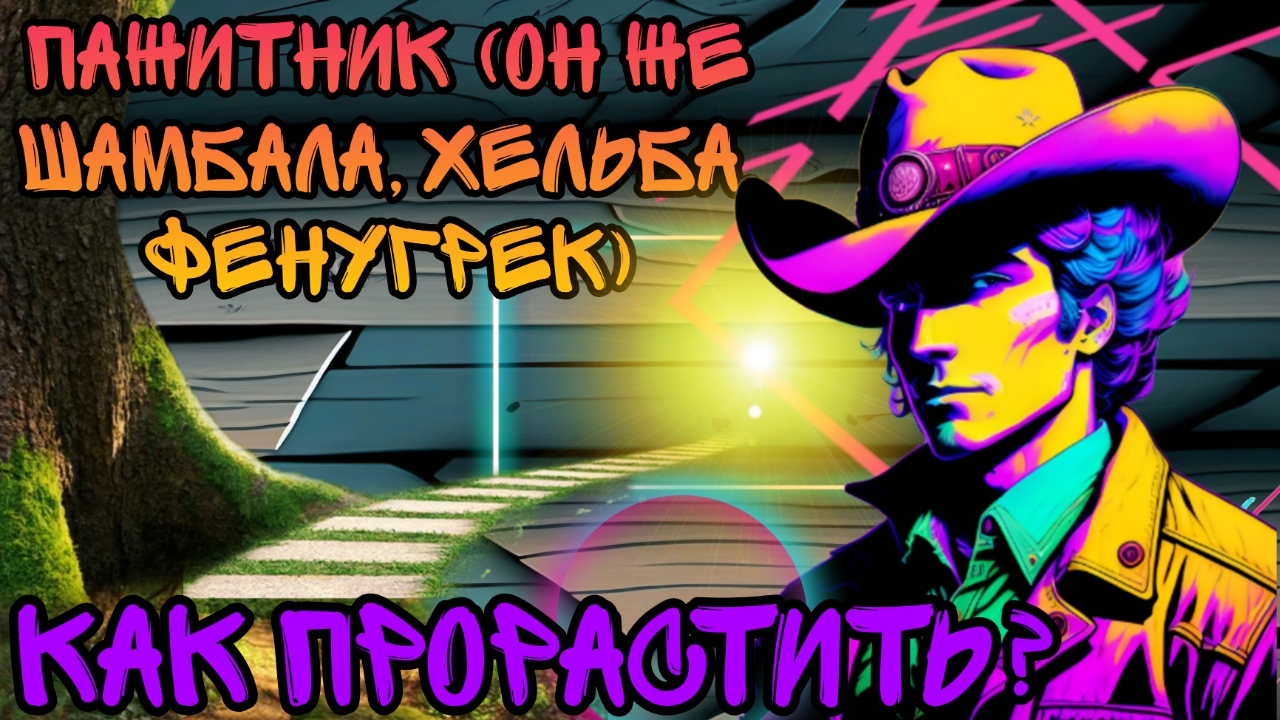 Пажитник. Шамбала. Хельба. Супер растение о котором мало кто знает. Как прорастить?