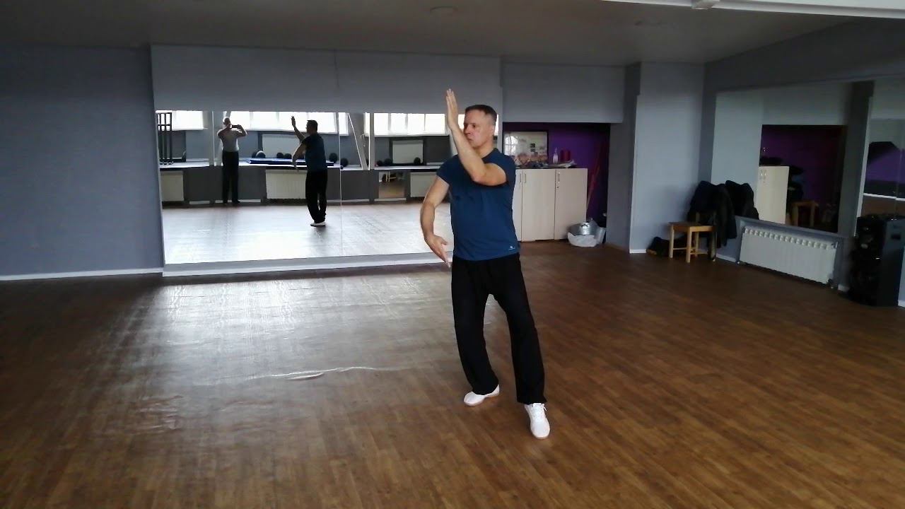 Янши Тайцзи-цюань стиль Ян "Белый журавль расправляет крылья". Тайцзи с доктором Бутримовым.